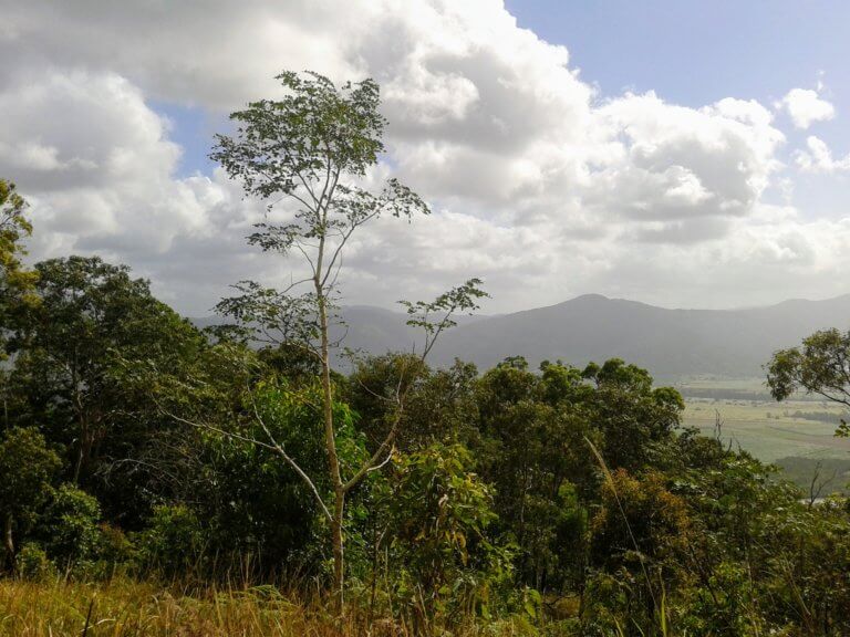 Winterfeuchte Subtropen - Verbreitung, Boden, Klima ...
